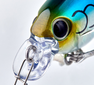 Minnow Magic | Vivanet