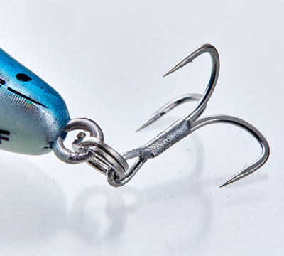 Minnow Magic | Vivanet