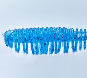 Muscle BUG | Vivanet