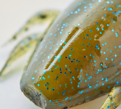 ホグホグHog | Vivanet