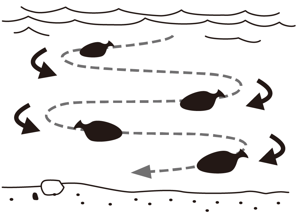 Viva Gill 3.5 | Vivanet