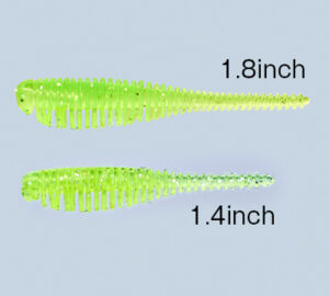 Muscle BUG | Vivanet