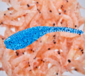 Muscle BUG | Vivanet