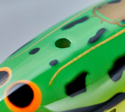 仔でんぐりガエル 鯰SP | Vivanet