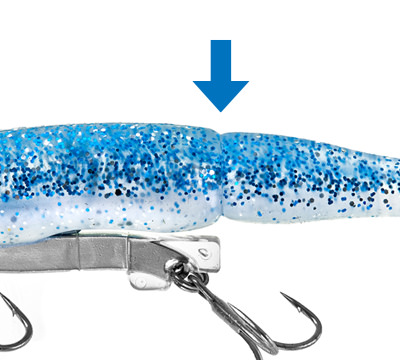 Rolling Dancer | Vivanet